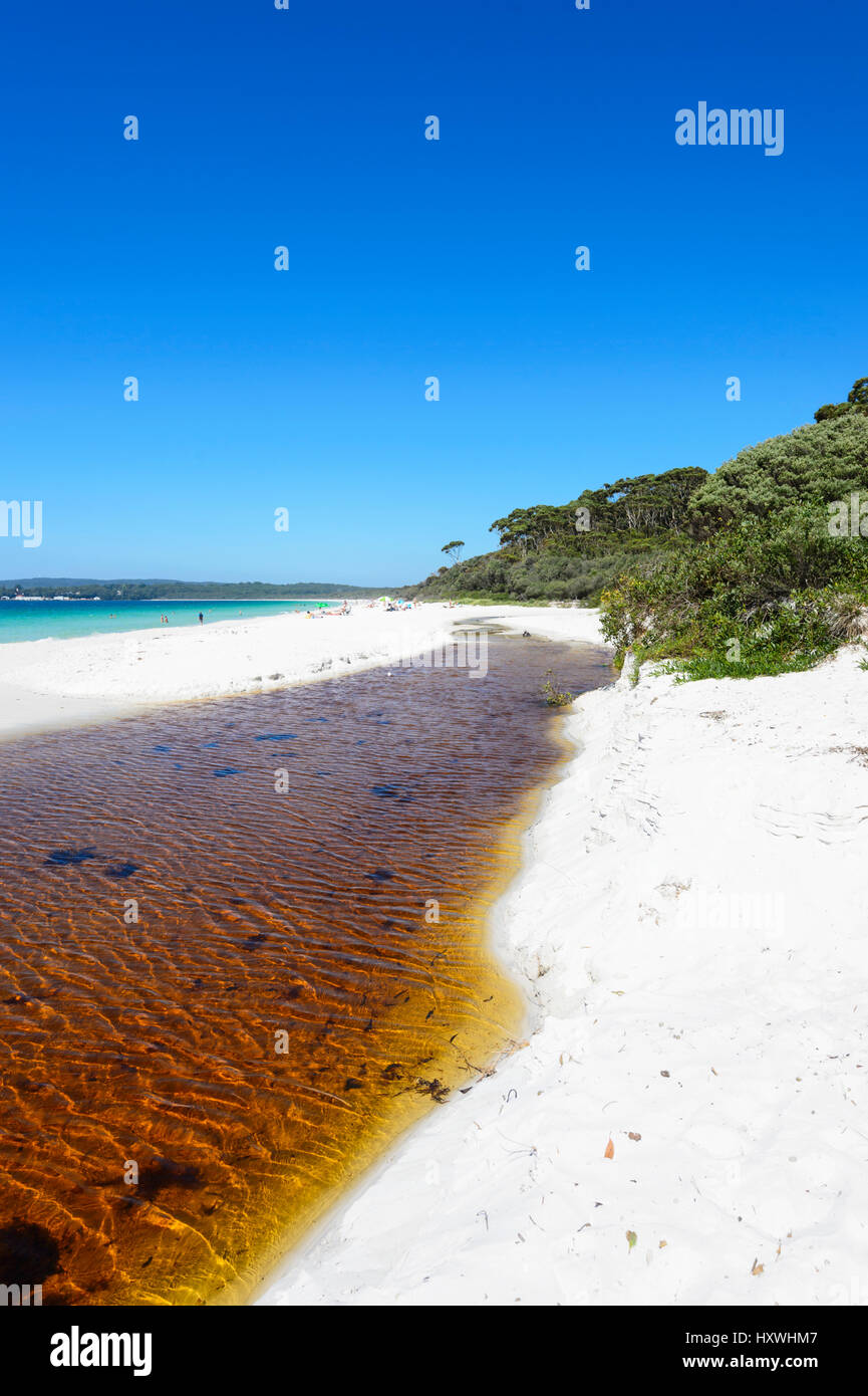 Hyams Beach is a spectacular stretch of Jervis Bay with fine white sand ...