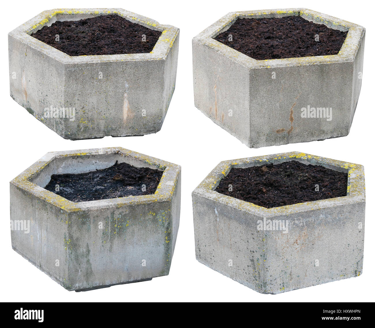 Garden filled with flowers Cut Out Stock Images & Pictures - Alamy