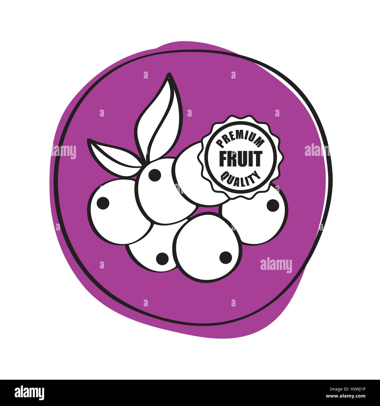 fresh fruit premium quality vector illustration design Stock Vector ...