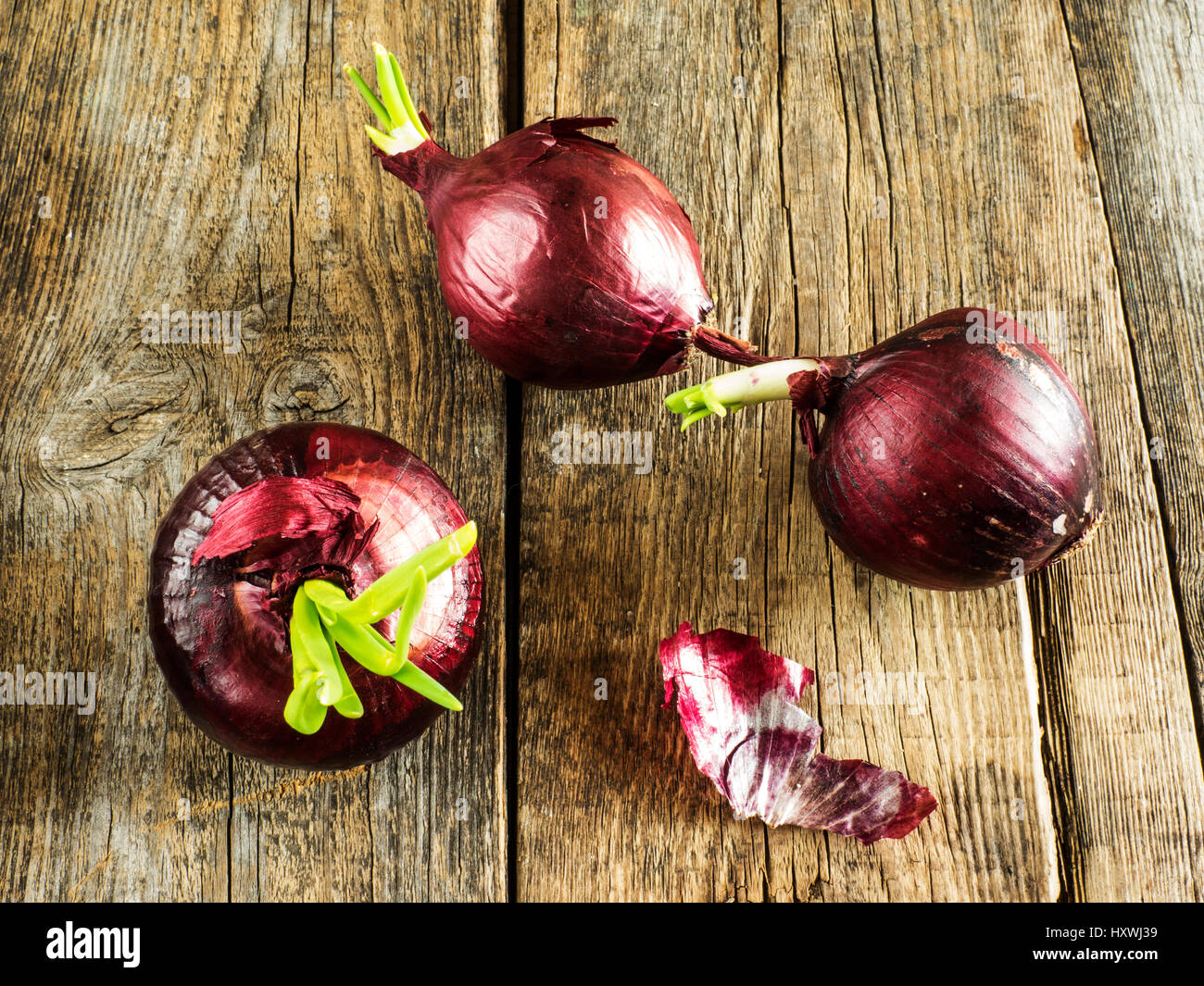 Sprouted blue onion on an old weathered wooden table Stock Photo - Alamy