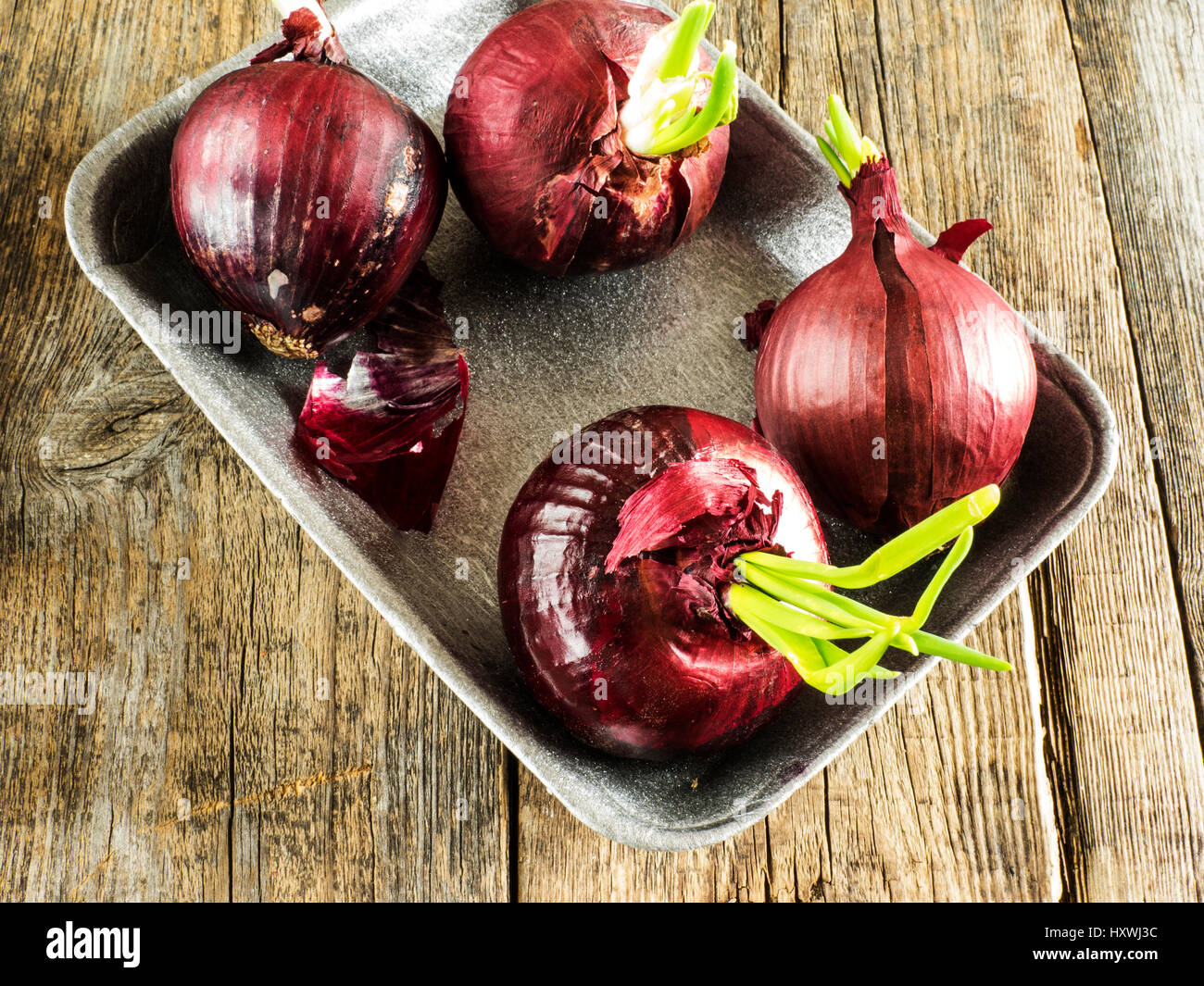Sprouted blue onion on an old weathered wooden table Stock Photo - Alamy