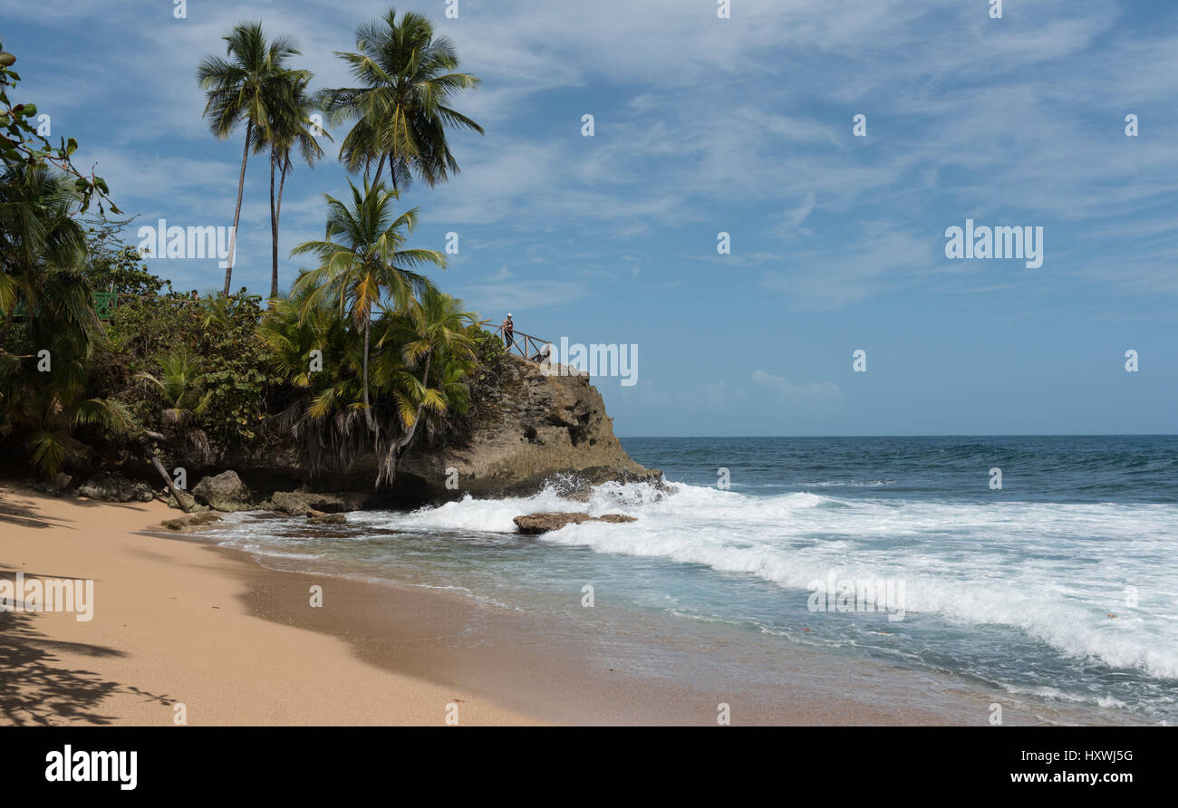 Coast with rock at Punta Manzanillo, Gandoca Manzanillo National ...