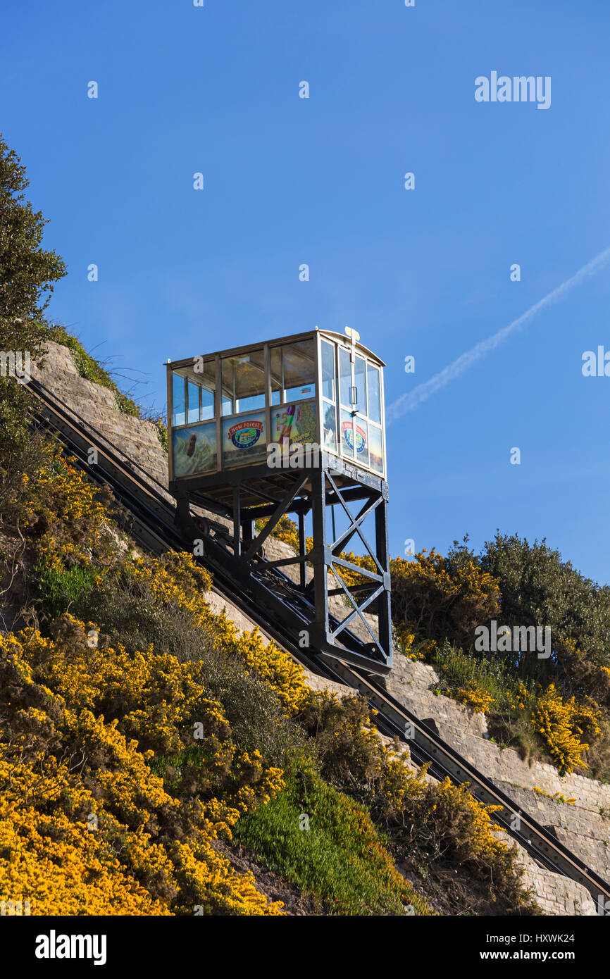 Gorse cliffs cliff cliffside hi-res stock photography and images - Alamy