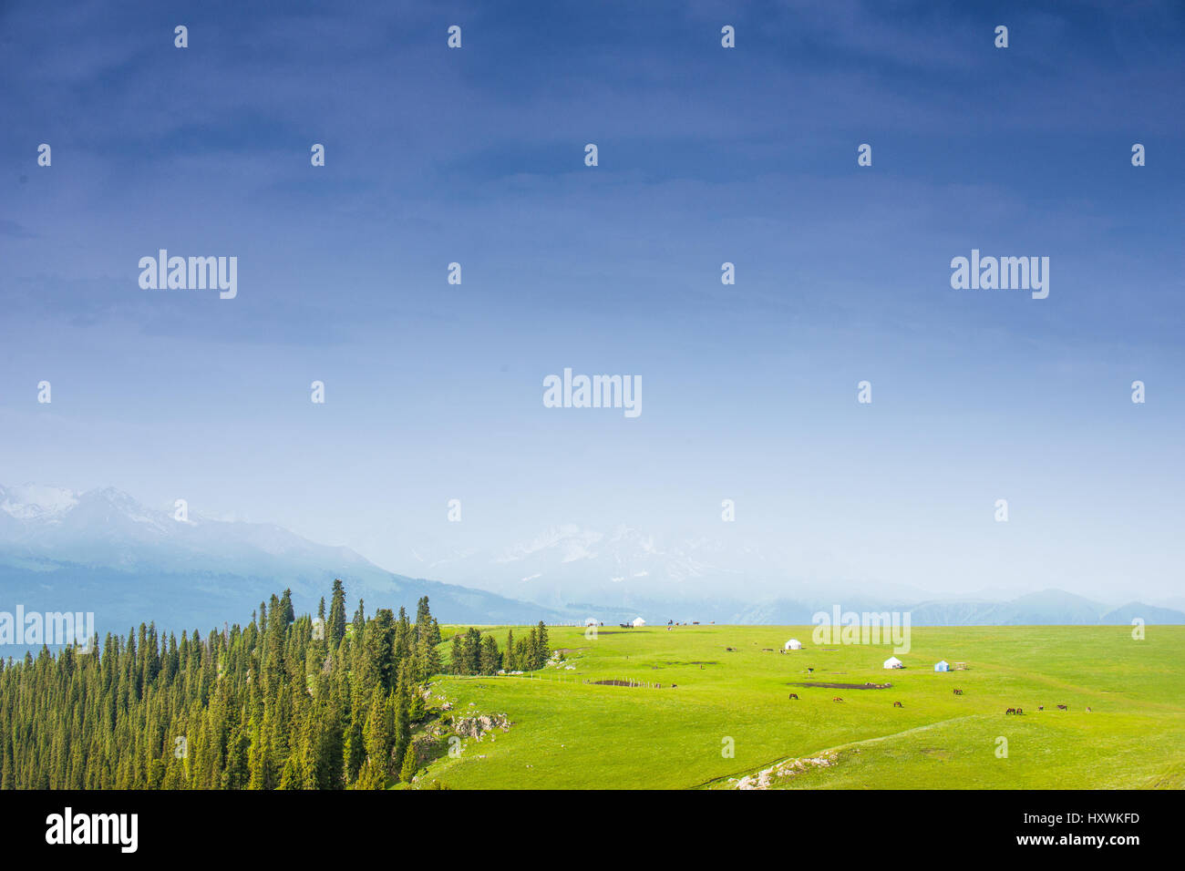 Kalajun grassland of Tekes County,Sinkiang,China Stock Photo - Alamy
