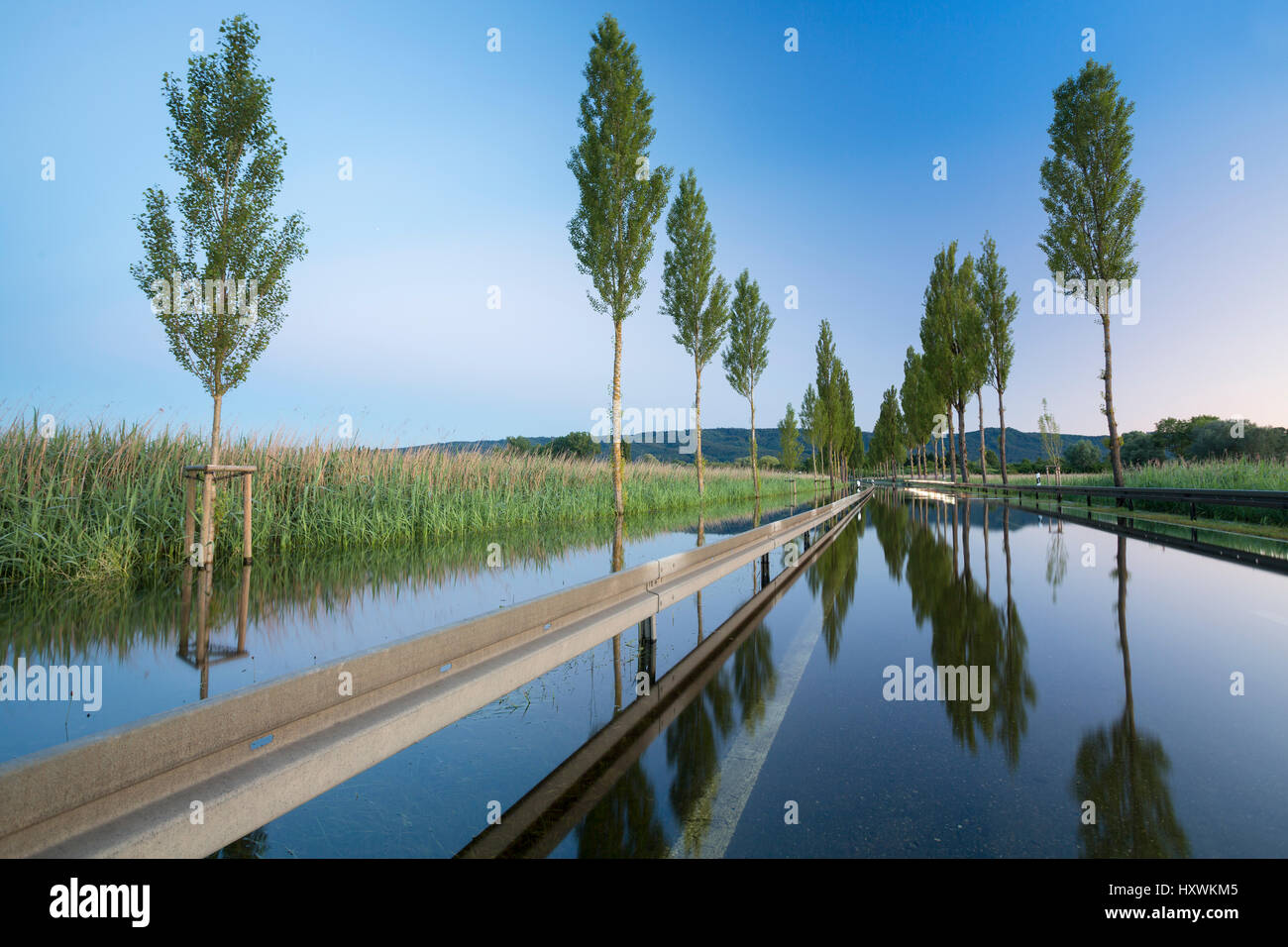 Flood, flooded road, alley between Radolfzell and Hoeri, Lake Constance ...