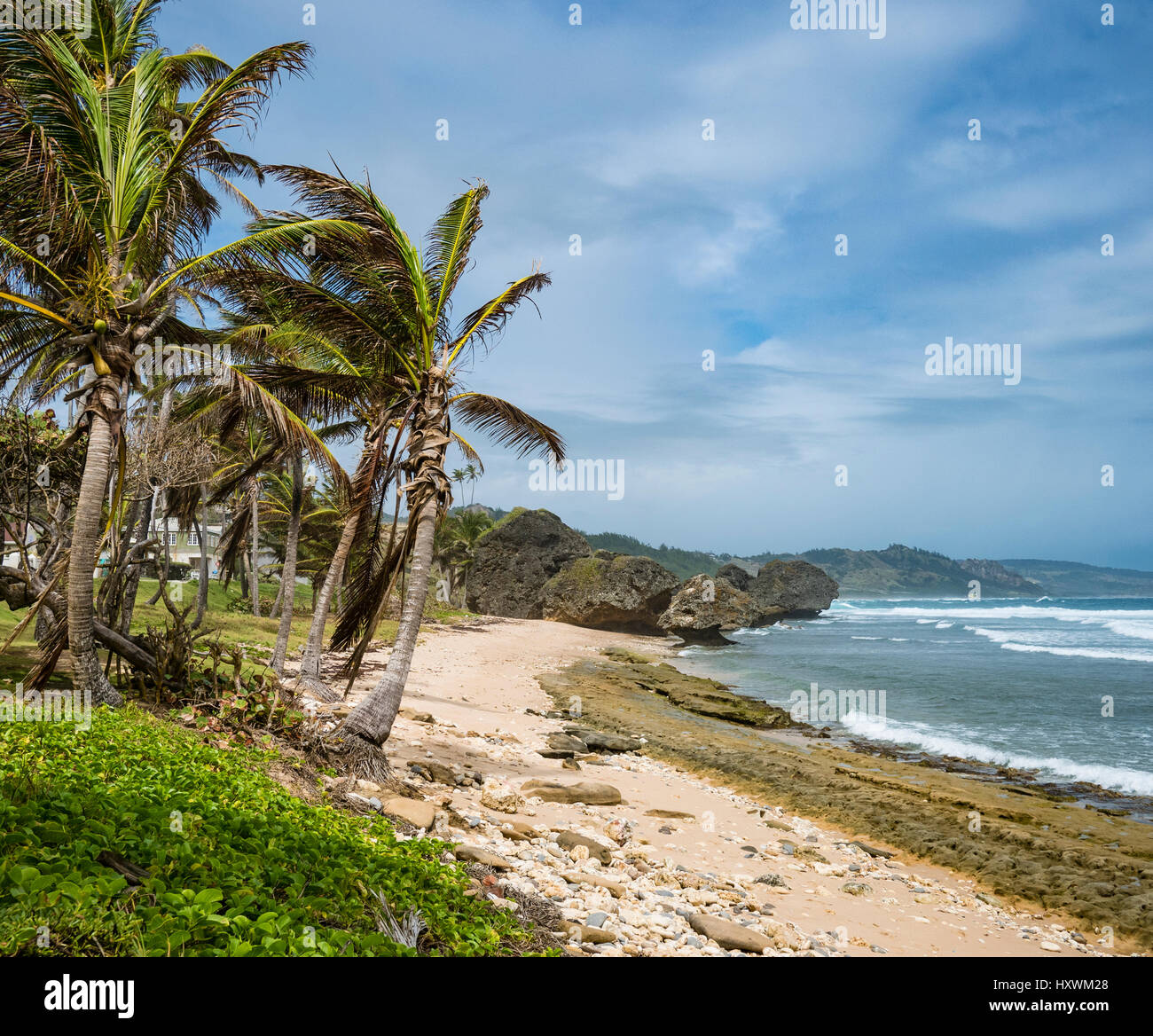 Beach at Bathsheba on Atlantic Coast of Caribbean Island of Barbados ...