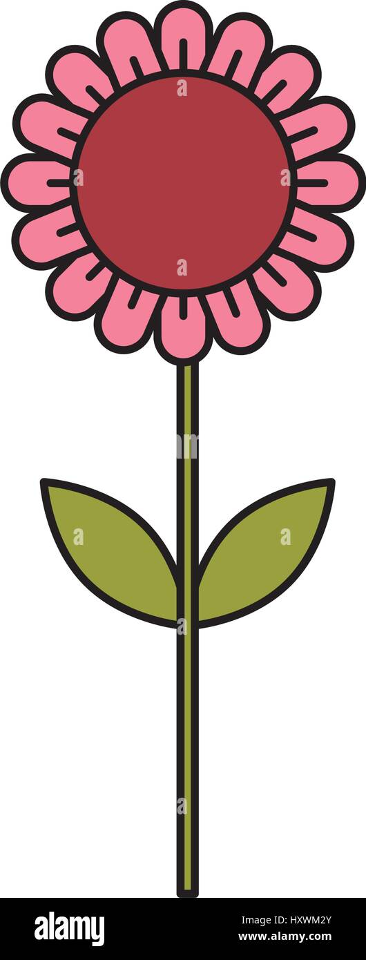 cute flower isolated icon vector illustration design Stock Vector Image ...