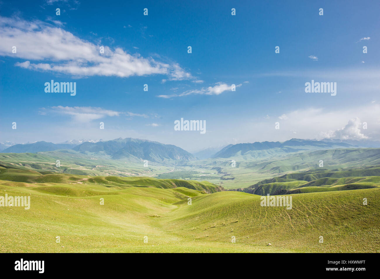 Kalajun grassland of Tekes County,Sinkiang,China Stock Photo - Alamy