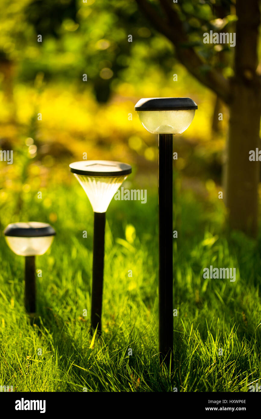 Solar Garden Flash Light