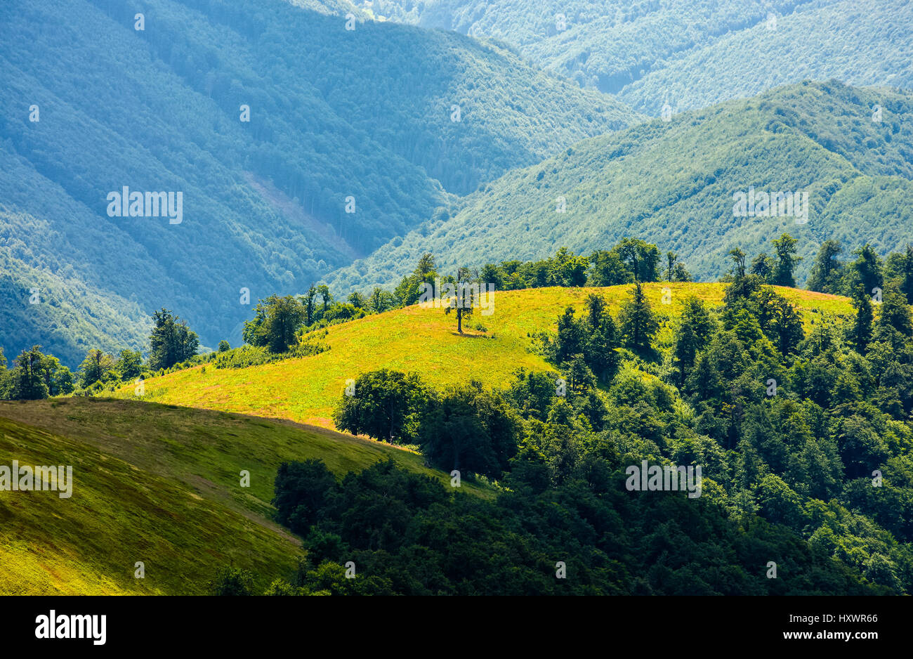 Uphill view grassy slope hi-res stock photography and images - Alamy