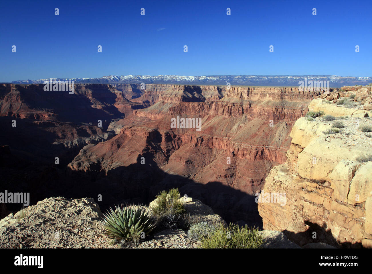 Grand canyon features hi-res stock photography and images - Alamy