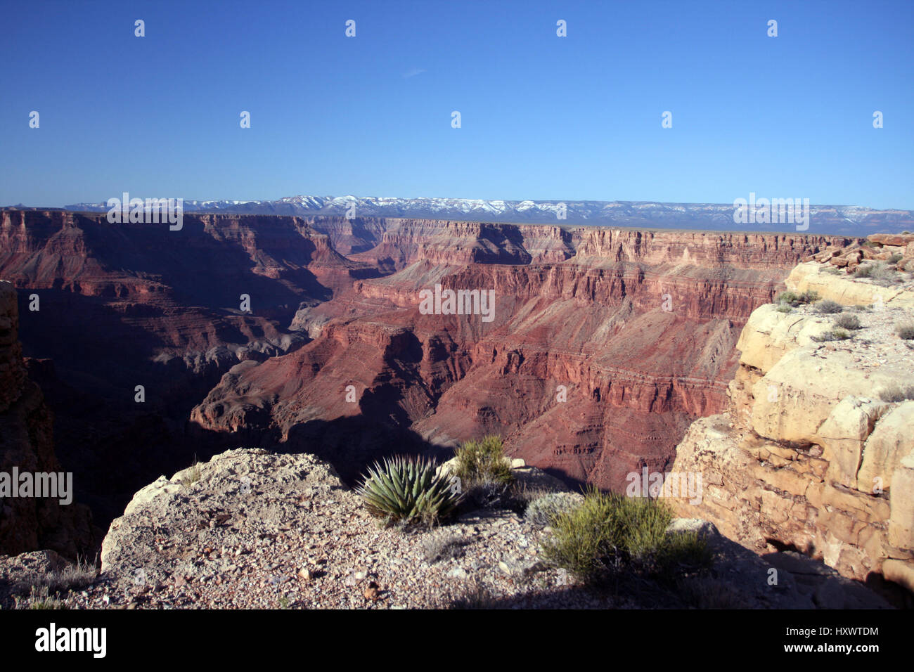 Grand features hi-res stock photography and images - Alamy