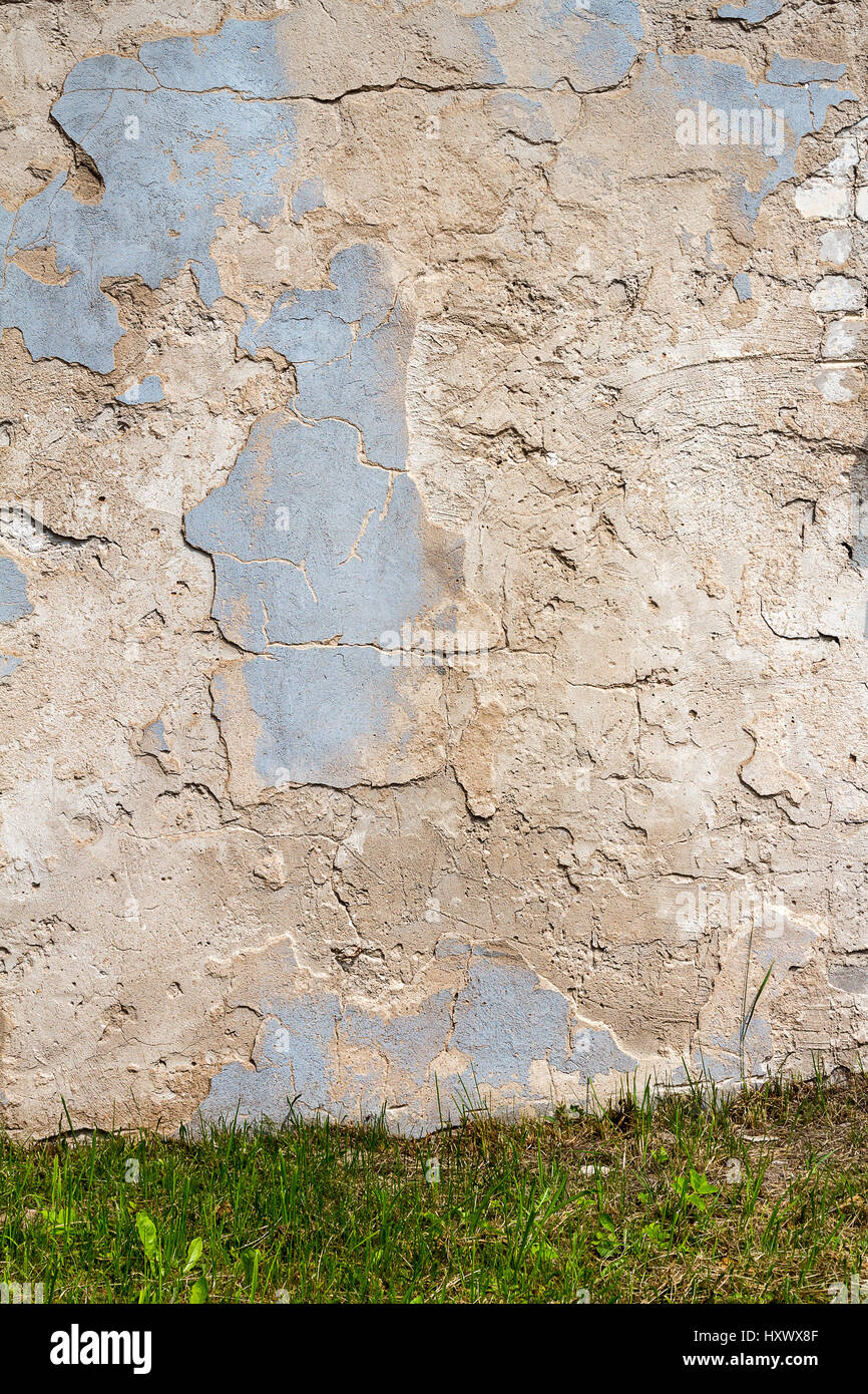 White plaster wall with green grass Stock Photo - Alamy