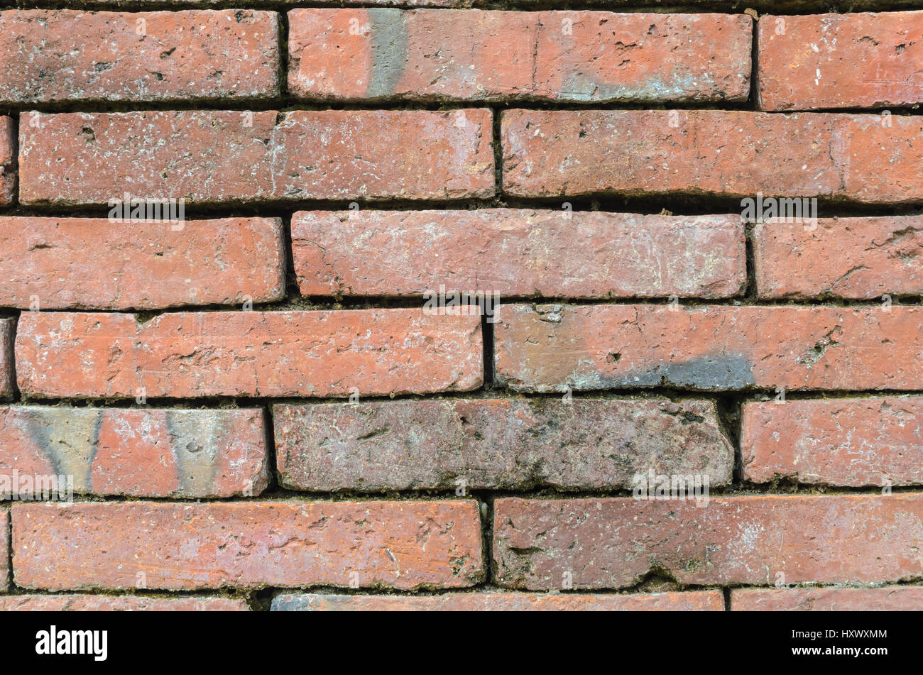 Close up brick wall texture Stock Photo - Alamy