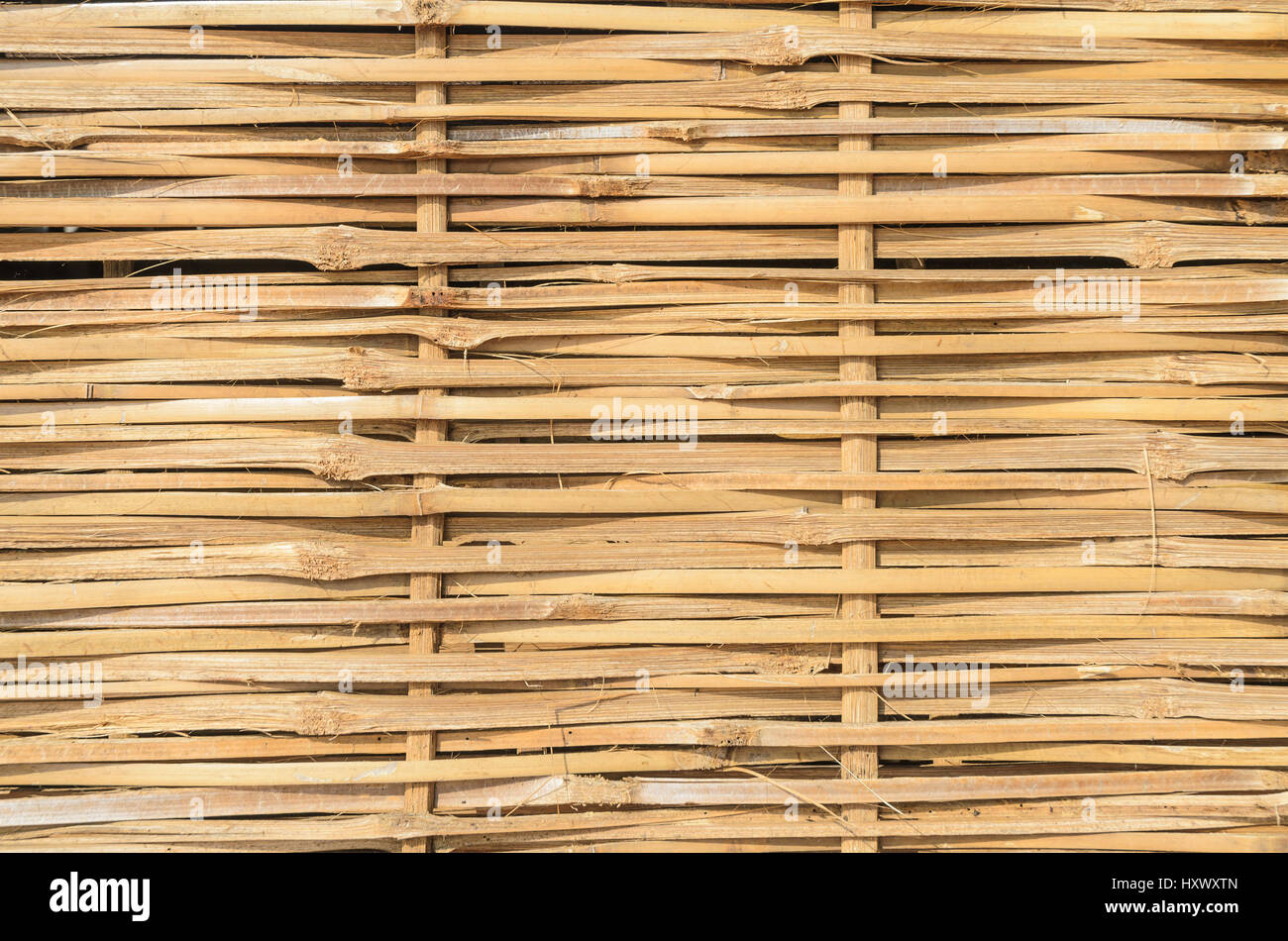Bamboo texture hi-res stock photography and images - Alamy