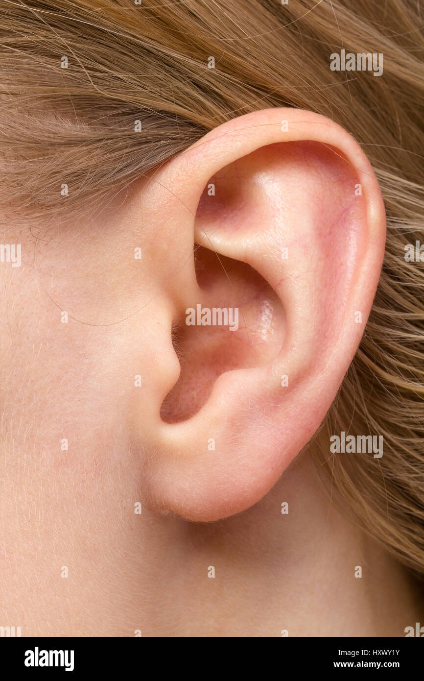 Detail of the head with female human ear close up Stock Photo - Alamy