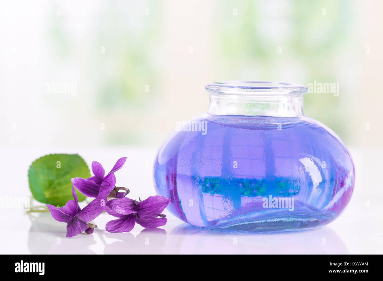 Gathered viola flower Viola Odorata . Raw materials for essential oils ...