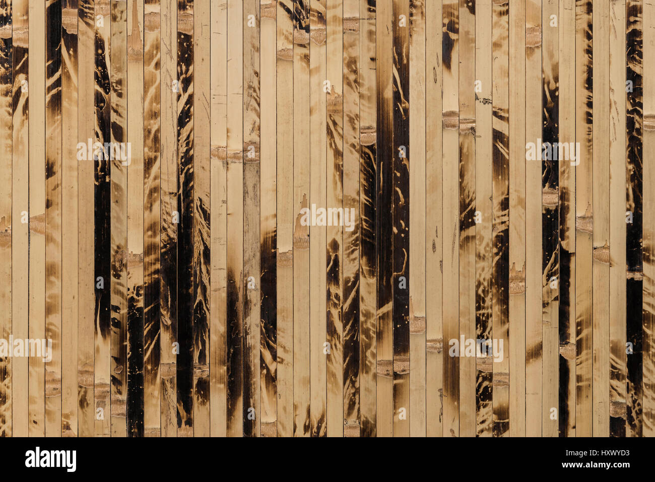 Textured bamboo wallpaper, close-up Stock Photo - Alamy
