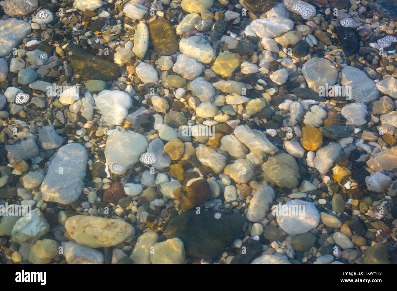 sea pebble beach with multicoloured stones, transparent waves with foam ...