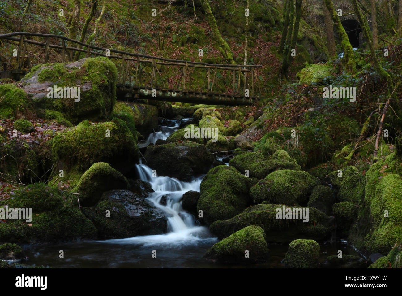 Hafod estate hi-res stock photography and images - Alamy