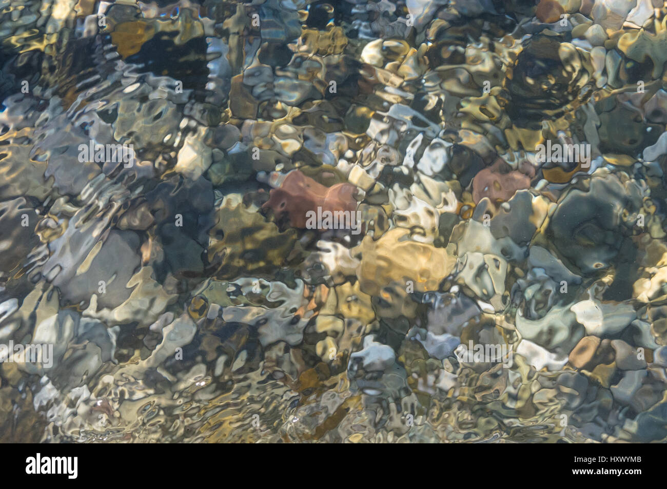 sea pebble beach with multicoloured stones, transparent waves with foam ...