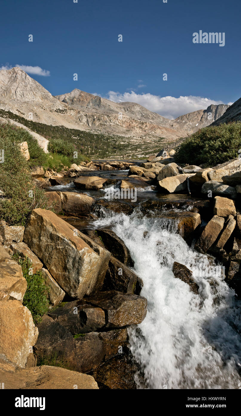 CA03134-00...CALIFORNIA - Small cascade on Palisade Creek along the JMT ...