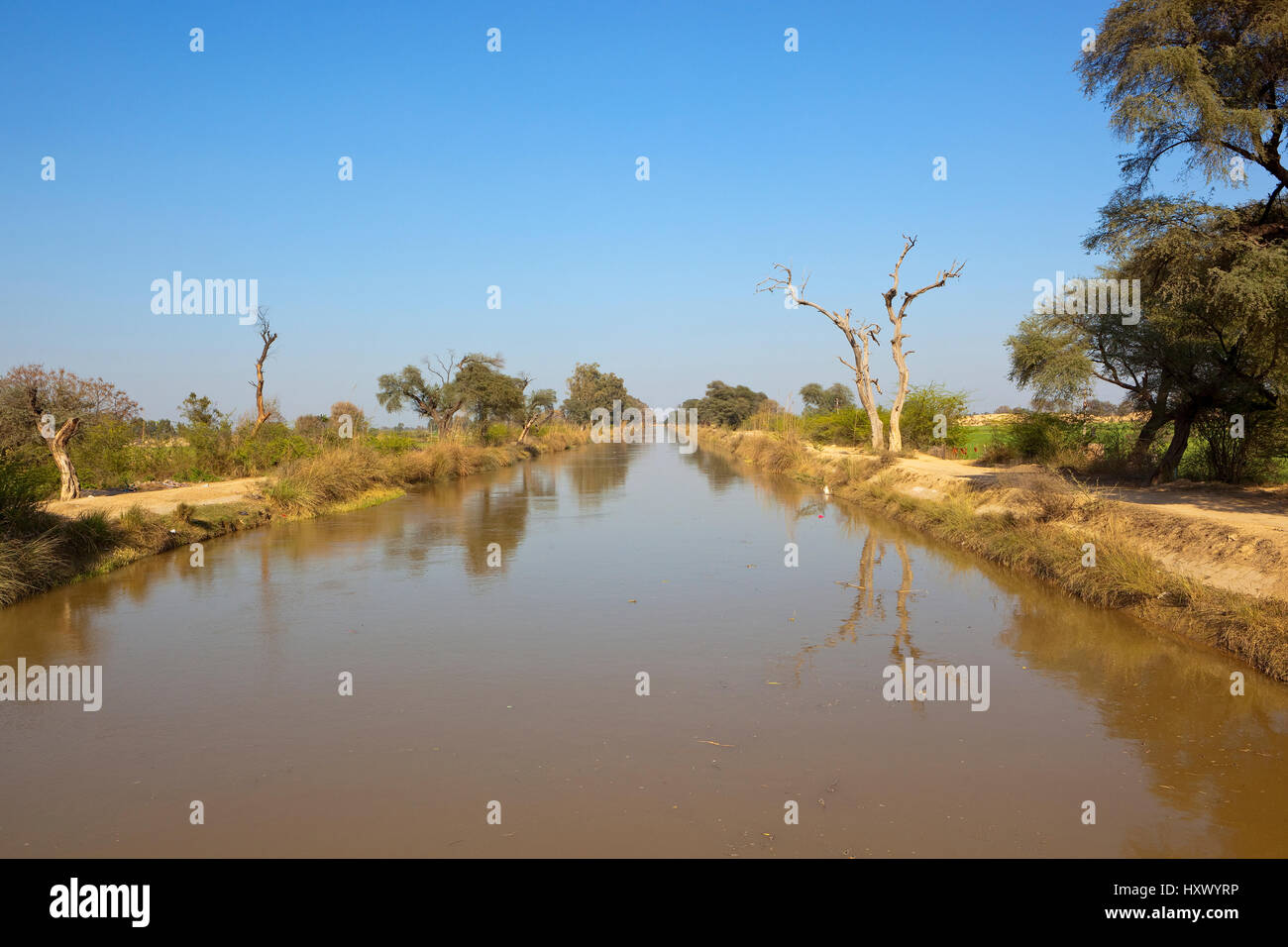 a straight river in rajasthan india with trees and paths under a clear ...