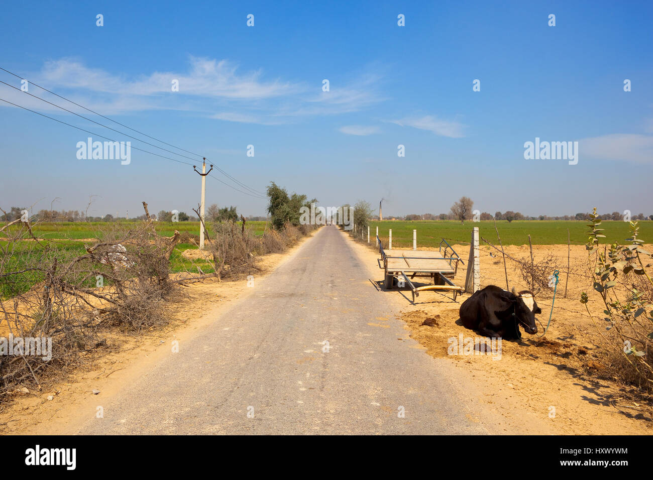 India rural road transport hi-res stock photography and images - Alamy