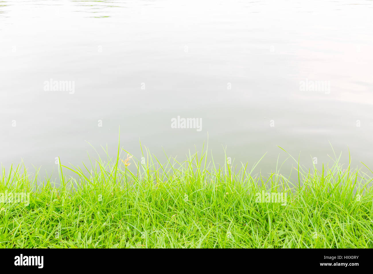 Riverside grass hi-res stock photography and images - Alamy