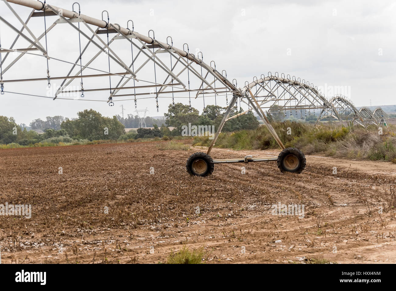 Irrigation pivot system watering Stock Photo - Alamy