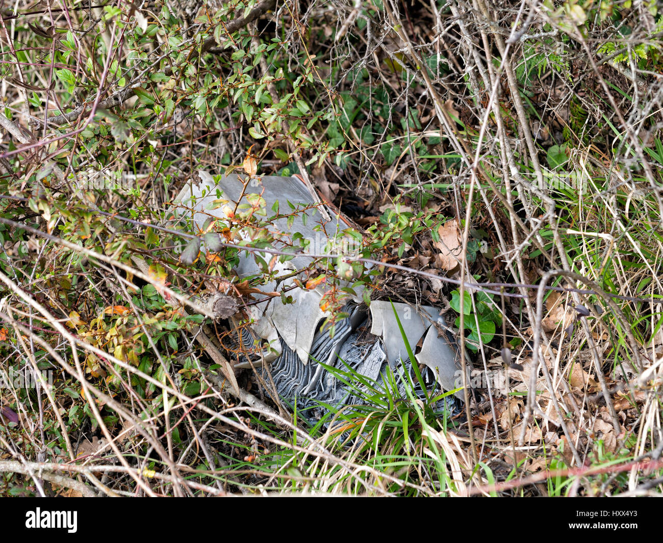 Environmental pollution. Old car battery rotting in hedge Stock Photo ...