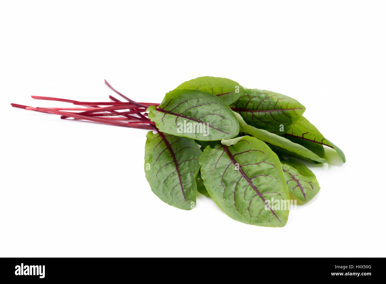 Red Sorrel Leaves