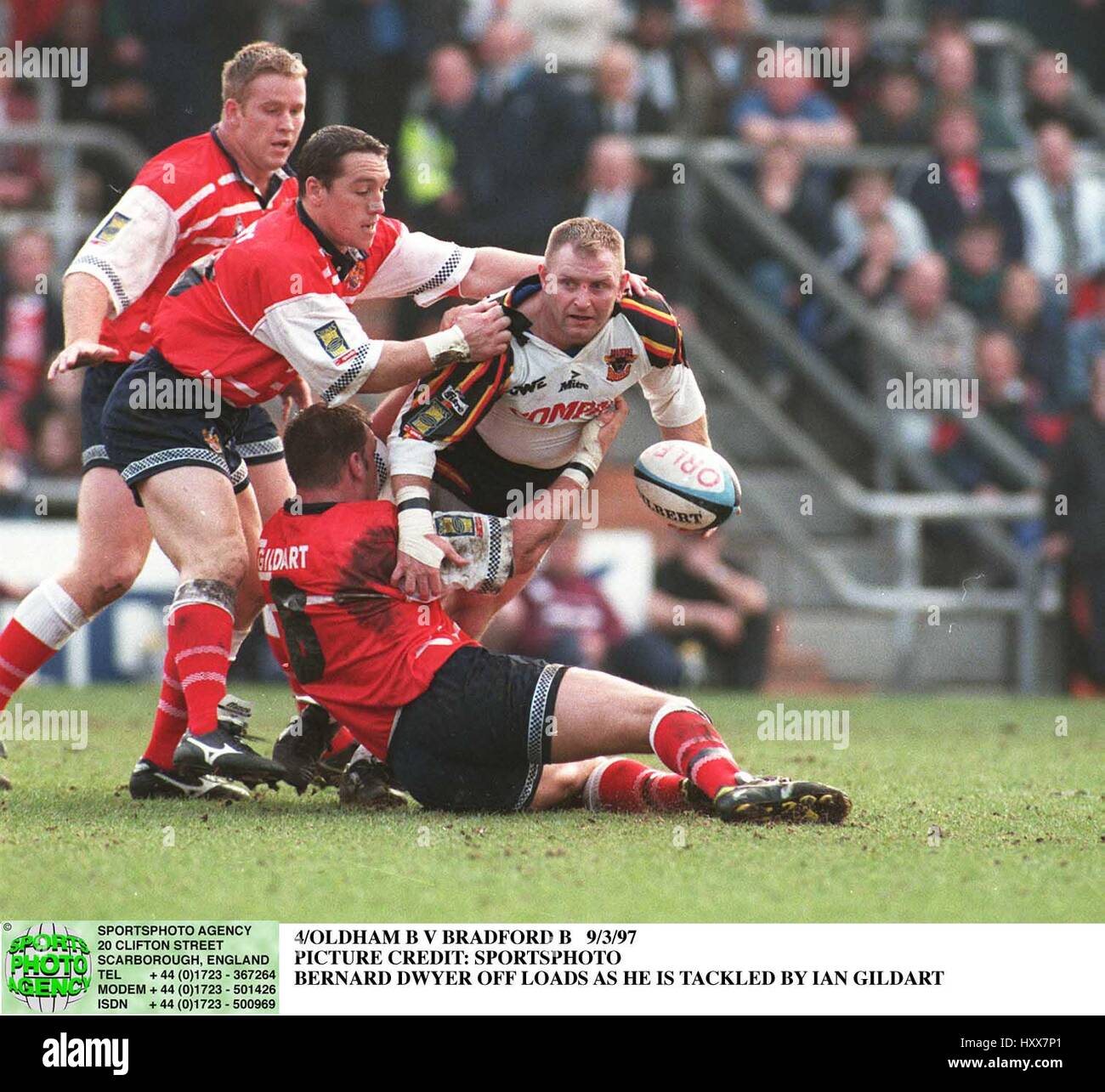 Oldham bears hi-res stock photography and images - Alamy