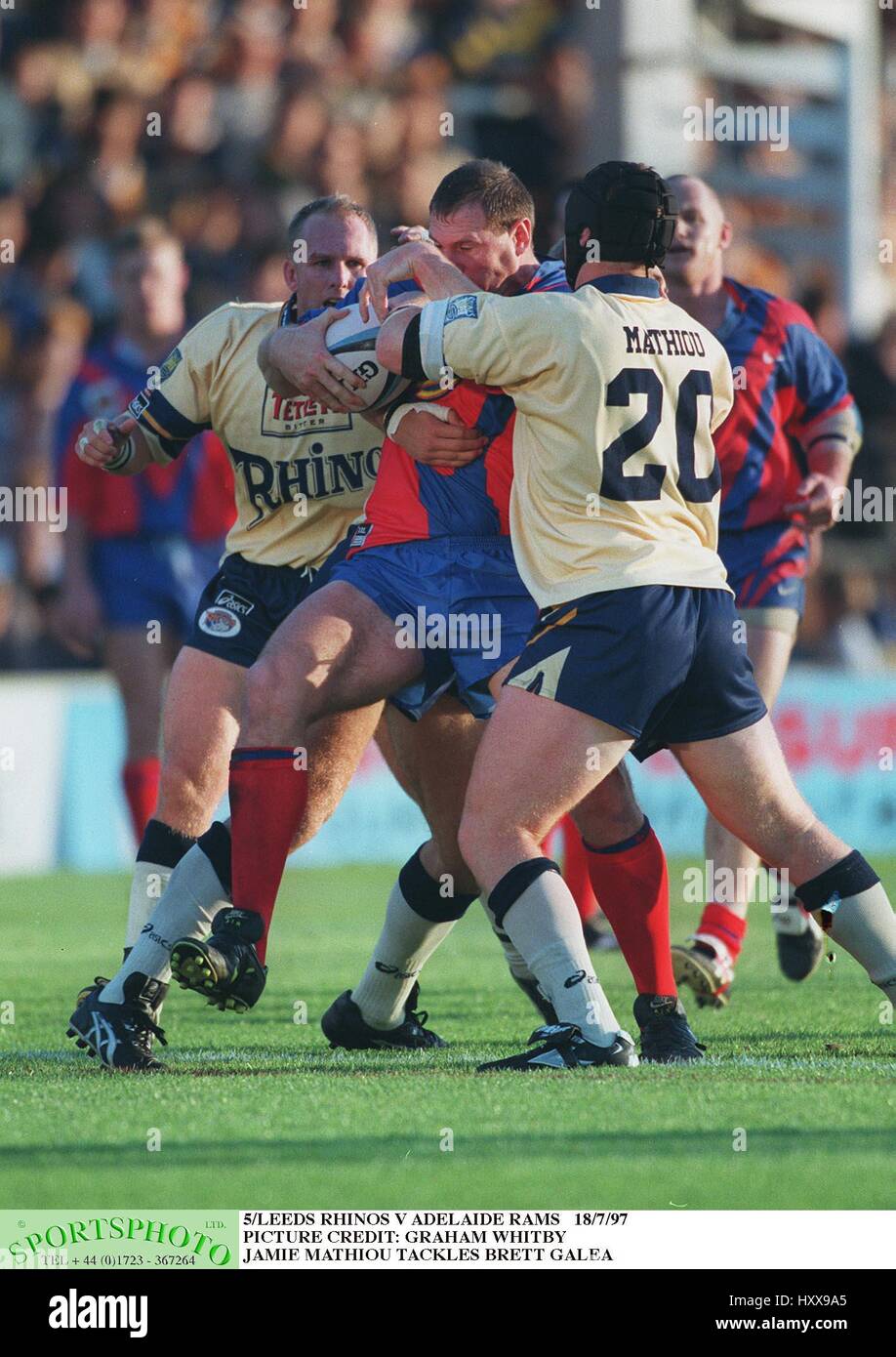 Adelaide rams hi-res stock photography and images - Alamy