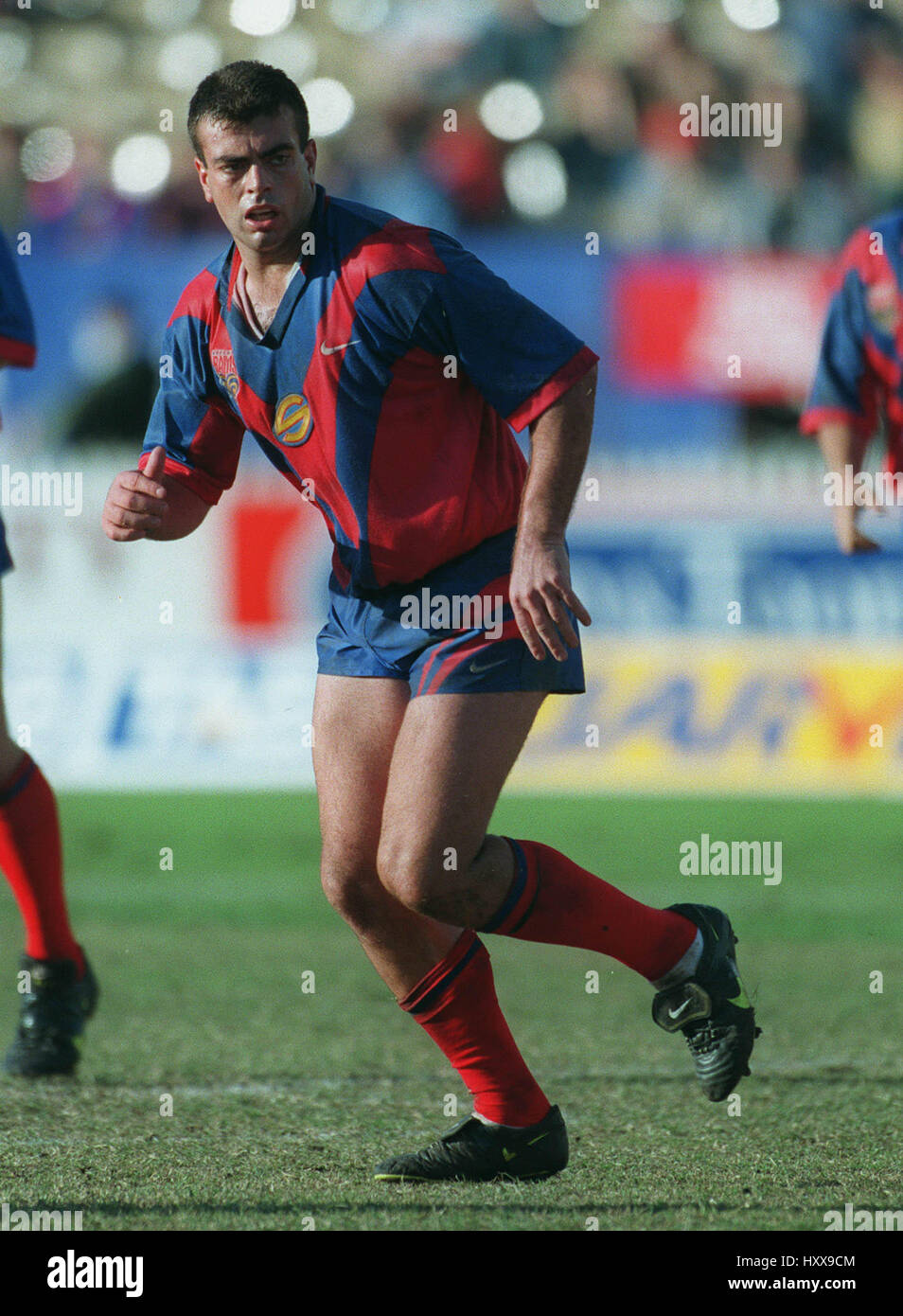 Adelaide rams hi-res stock photography and images - Alamy