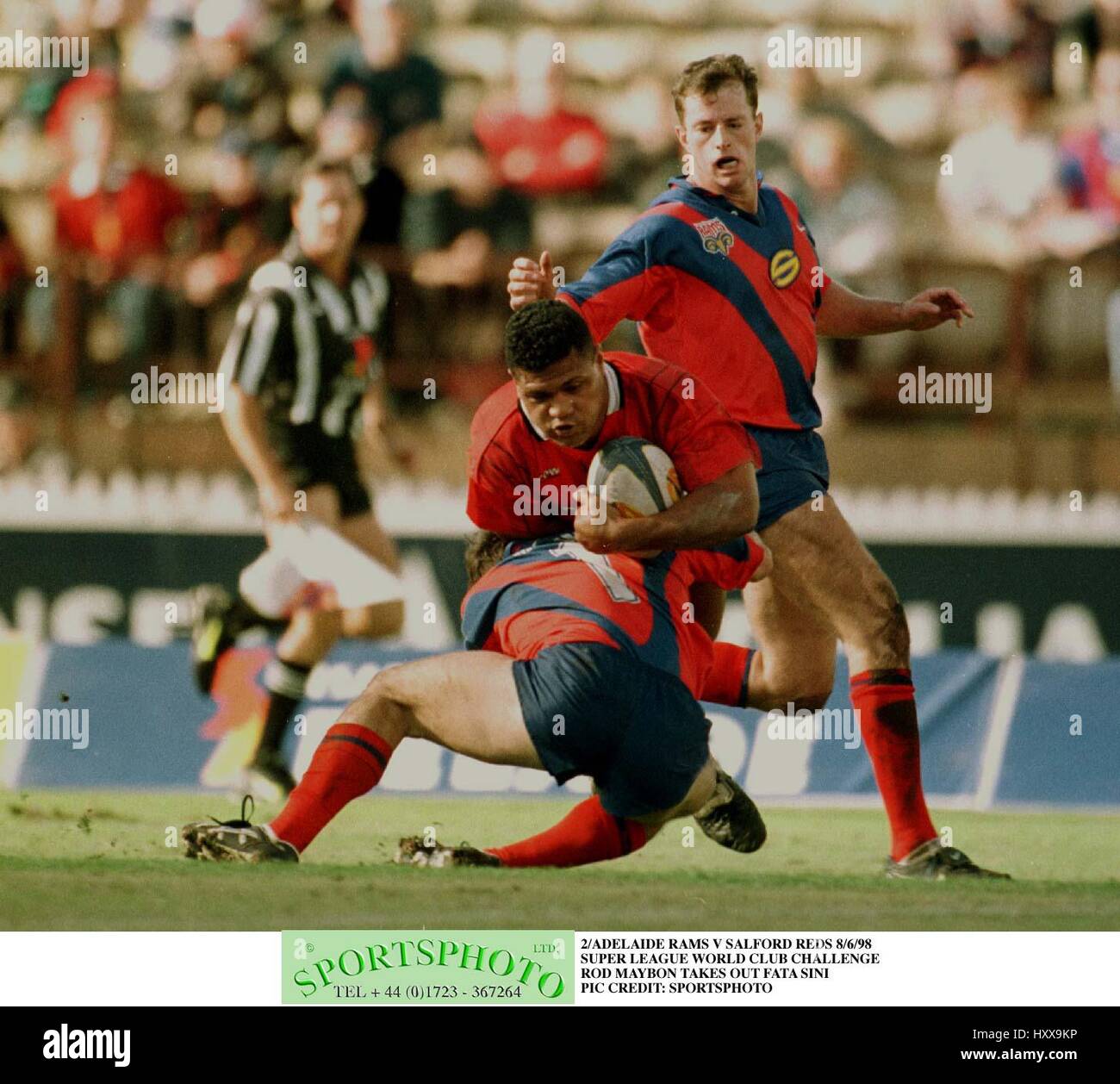 Adelaide rams hi-res stock photography and images - Alamy