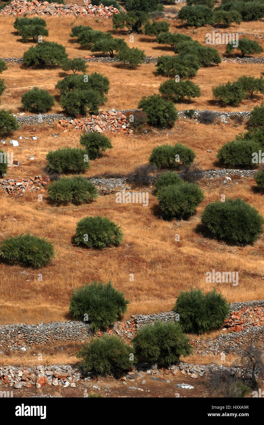 Bazooki music hi-res stock photography and images - Alamy