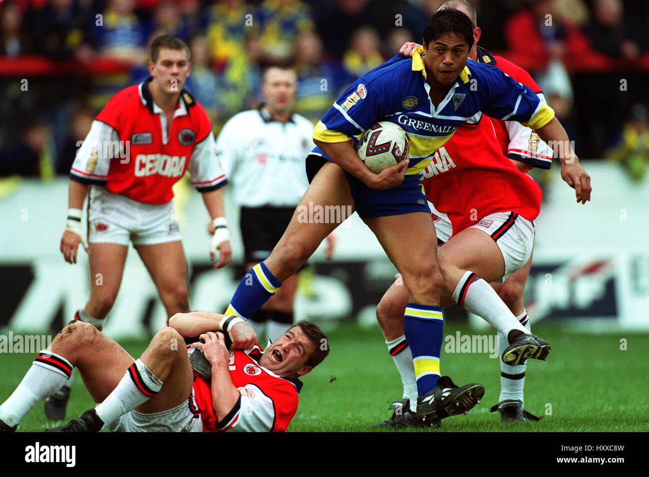 Tawera nikau hi-res stock photography and images - Alamy