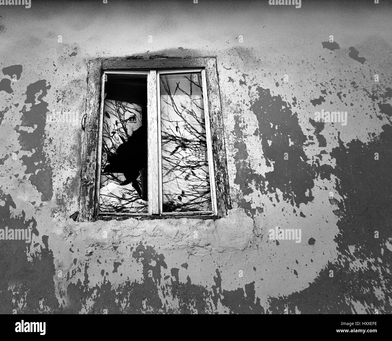 Abandoned building detail with broken window Stock Photo - Alamy