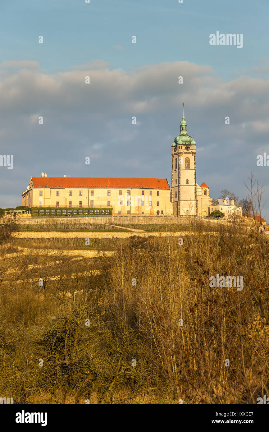 Melnik castle with its vineyard at river Labe, Melnik, Czech republic ...