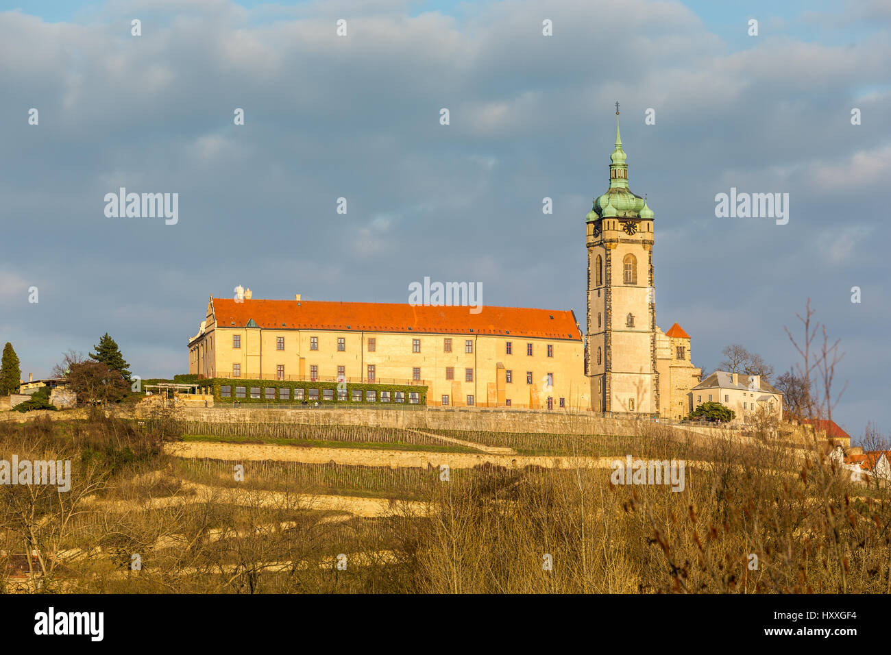 Melnik castle with its vineyard at river Labe, Melnik, Czech republic ...