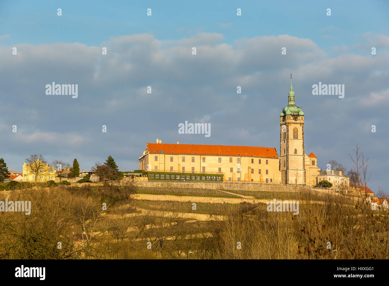 Melnik castle with its vineyard at river Labe, Melnik, Czech republic ...