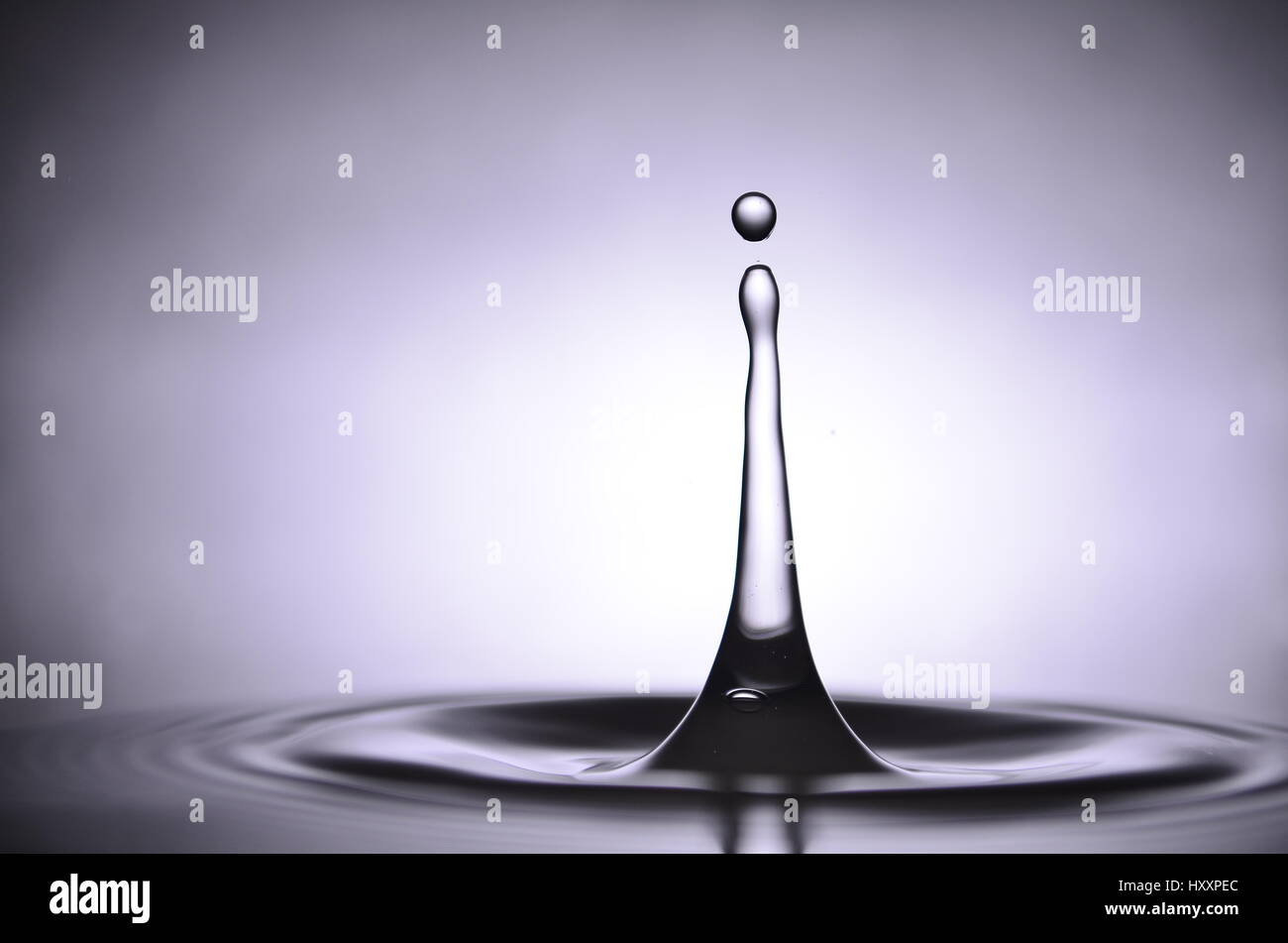 water drop white background Stock Photo - Alamy