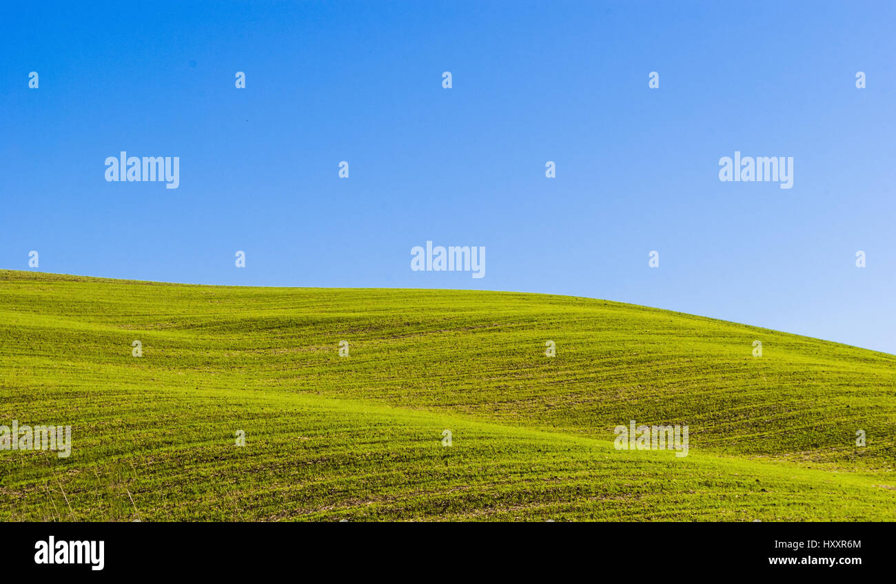 Green fields and blue sky background Stock Photo - Alamy