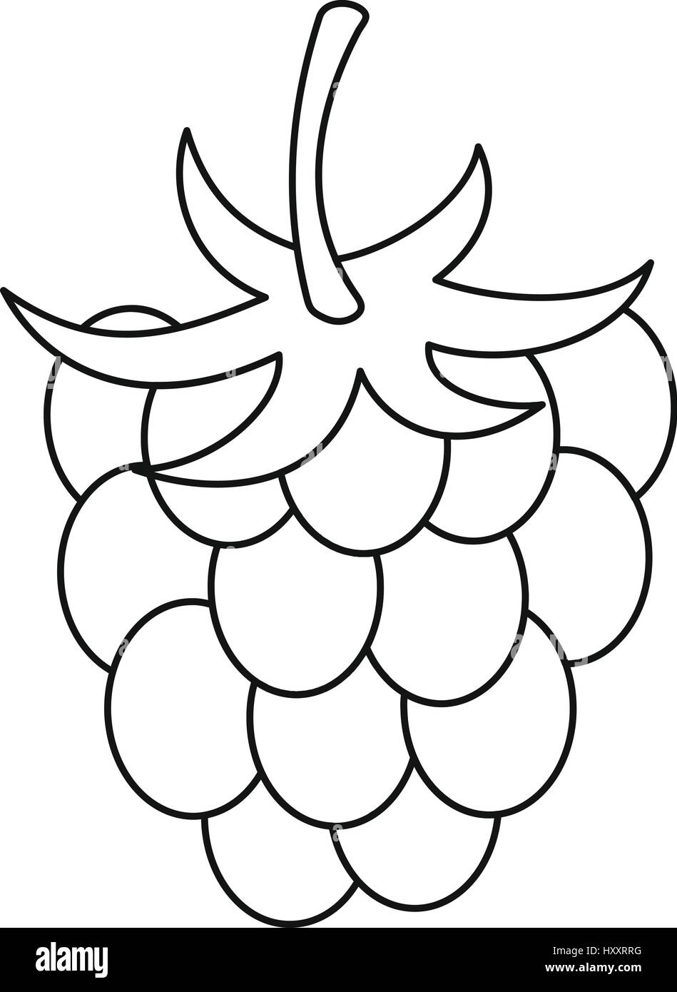 Three raspberry Stock Vector Images - Alamy