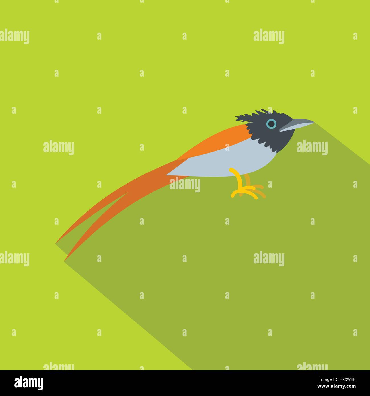 Terpsiphone Stock Vector Images - Alamy