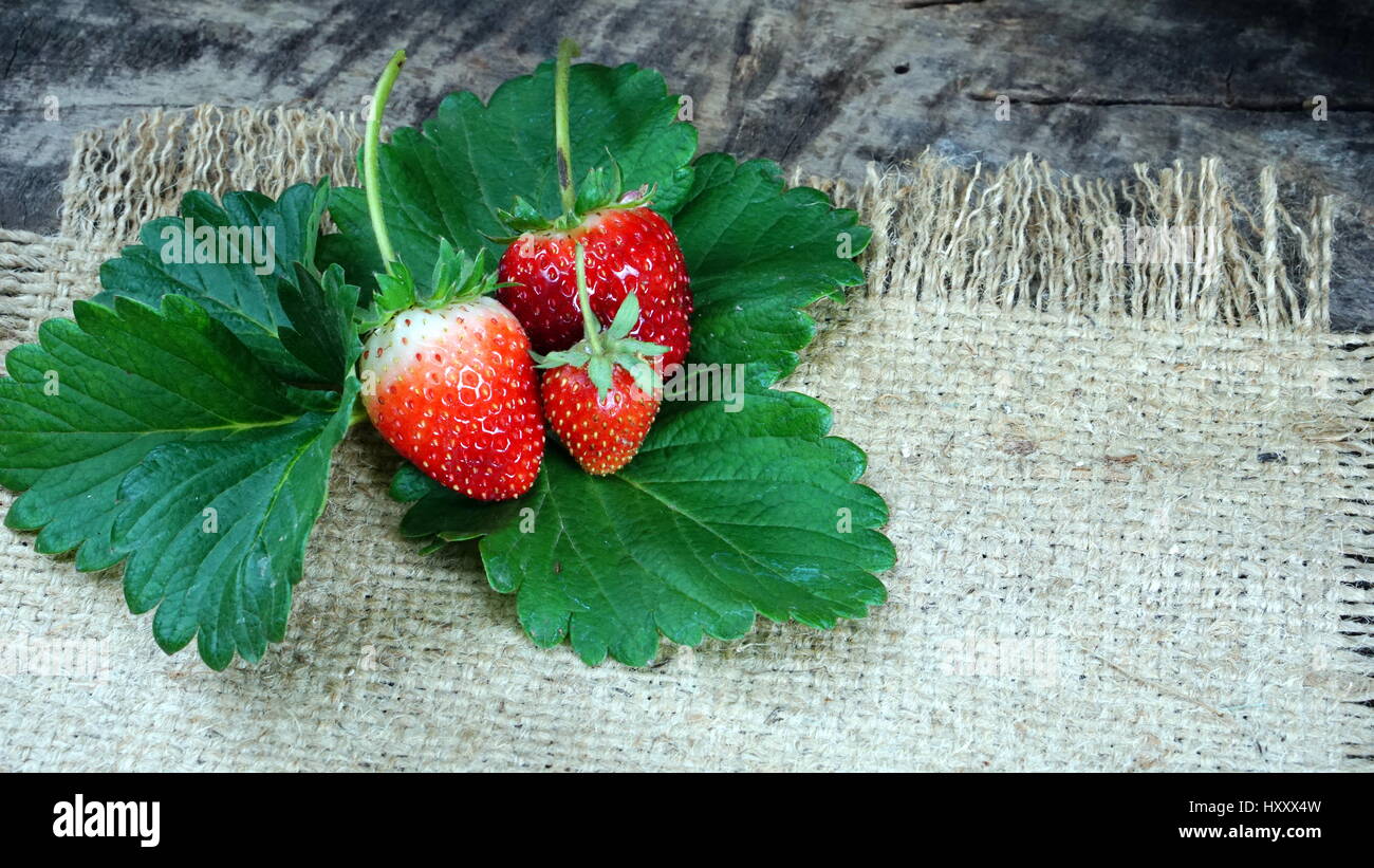 Strawberry flavor and fragrance are popular, Strawberry are used widely ...