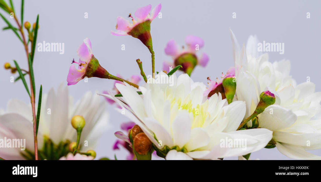 Bouquet pretty spring flowers hi-res stock photography and images - Alamy