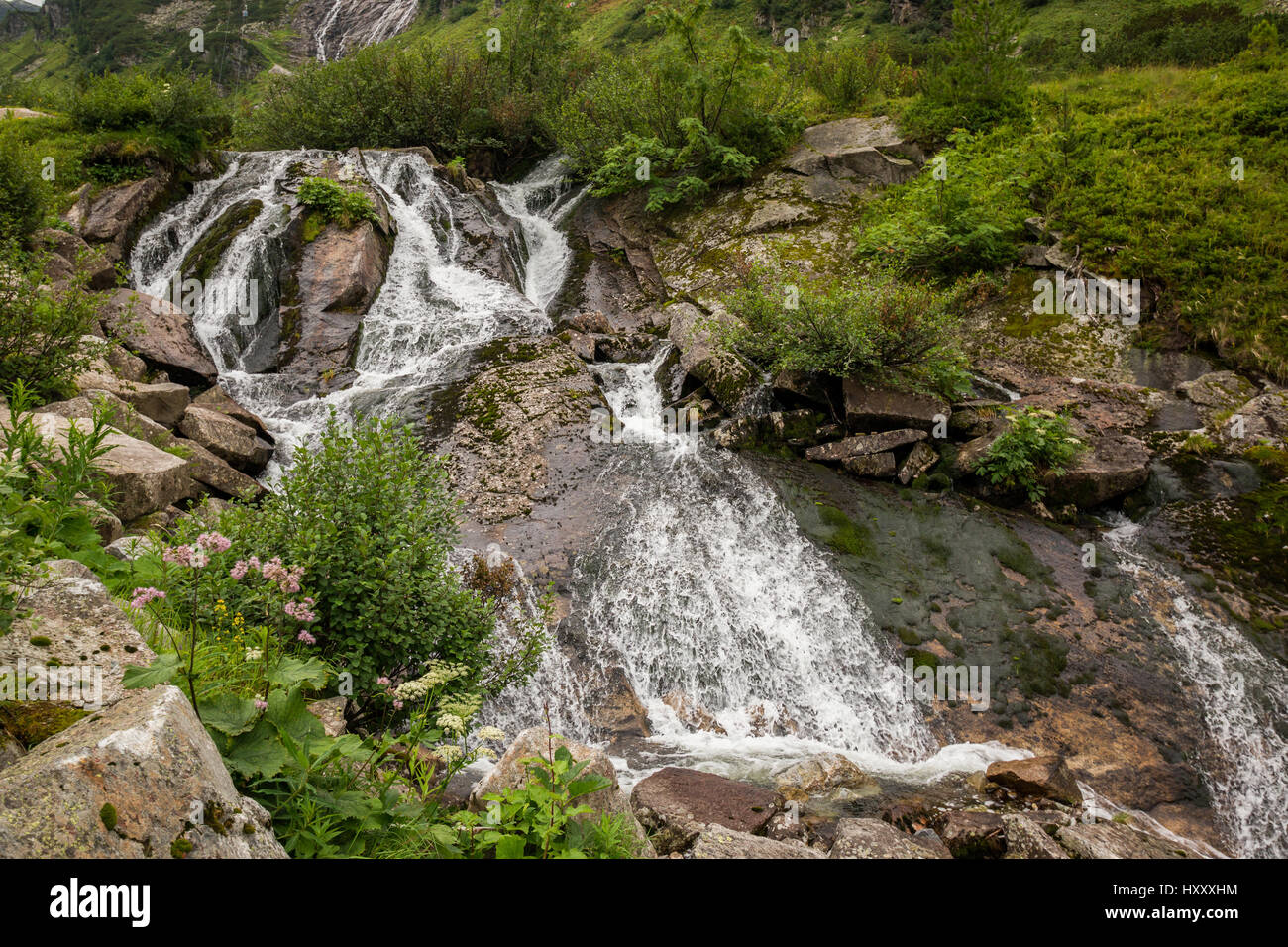 An alpine river flowing from Mountains, Alps, Austria Stock Photo - Alamy