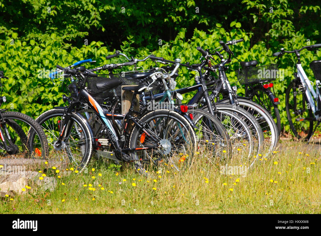 Parking Bicycles, Germany, Europe Stock Photo - Alamy
